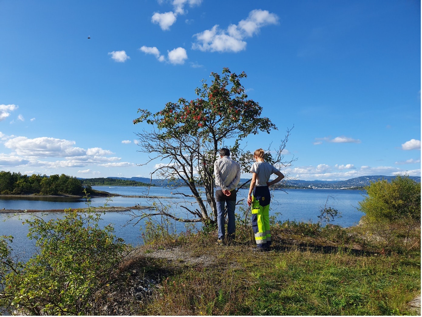 Fokus på naturtap og naturrestaurering, artikkel 4: Vern av truede og ...